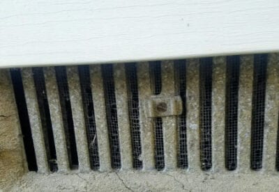 How To Mouse Proof A Home - Lakewood Exterminating